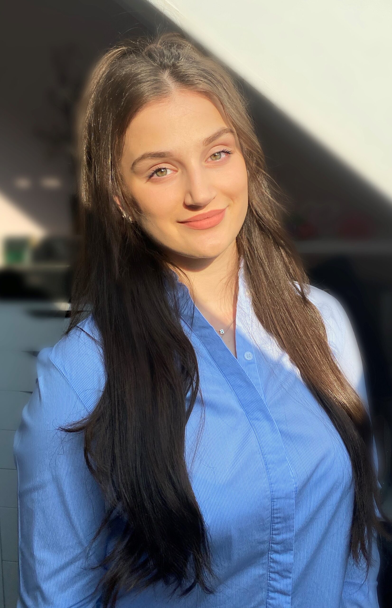 Stage Donika Plana - Van Veen Advocaten